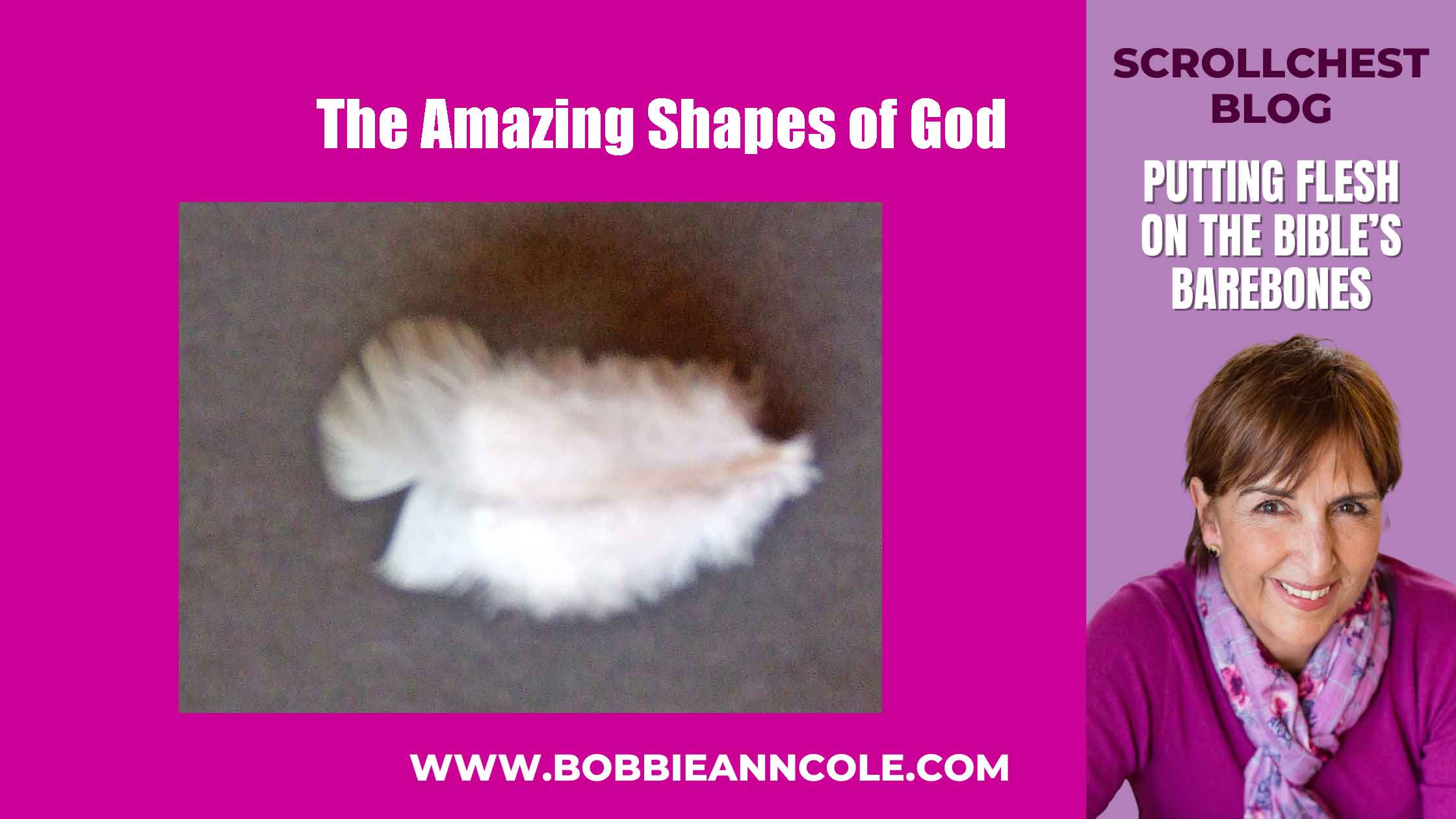 The Amazing Shapes of God - Bobbie Ann Cole